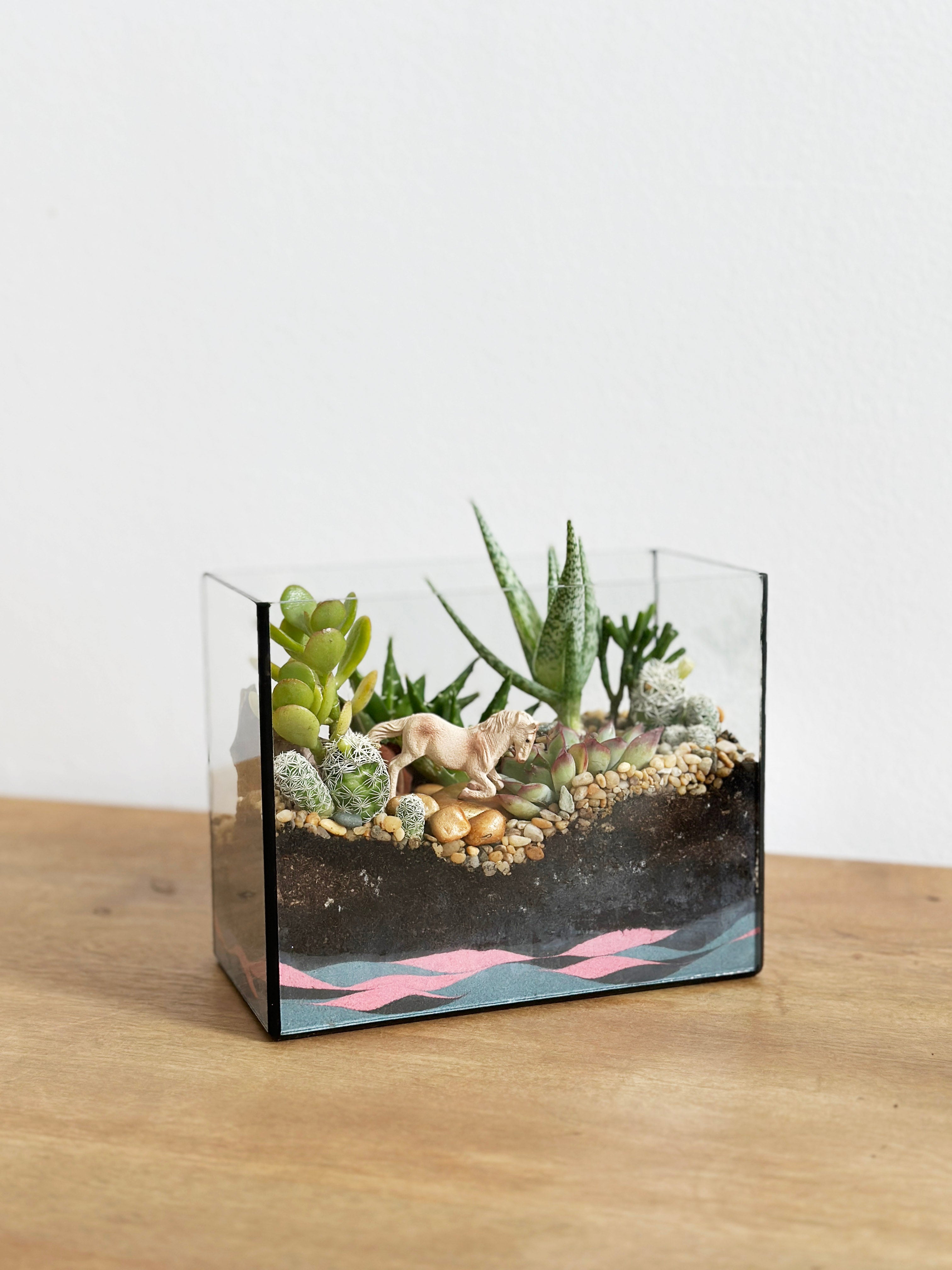 Desert Scene Cuboid terrarium – Tiny Forest Store