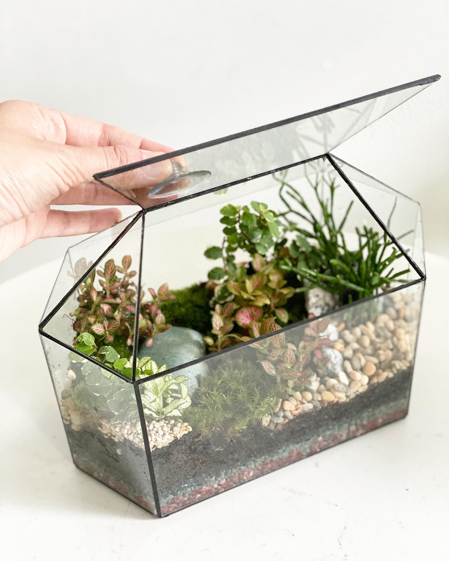 Terrariums – Tiny Forest Store