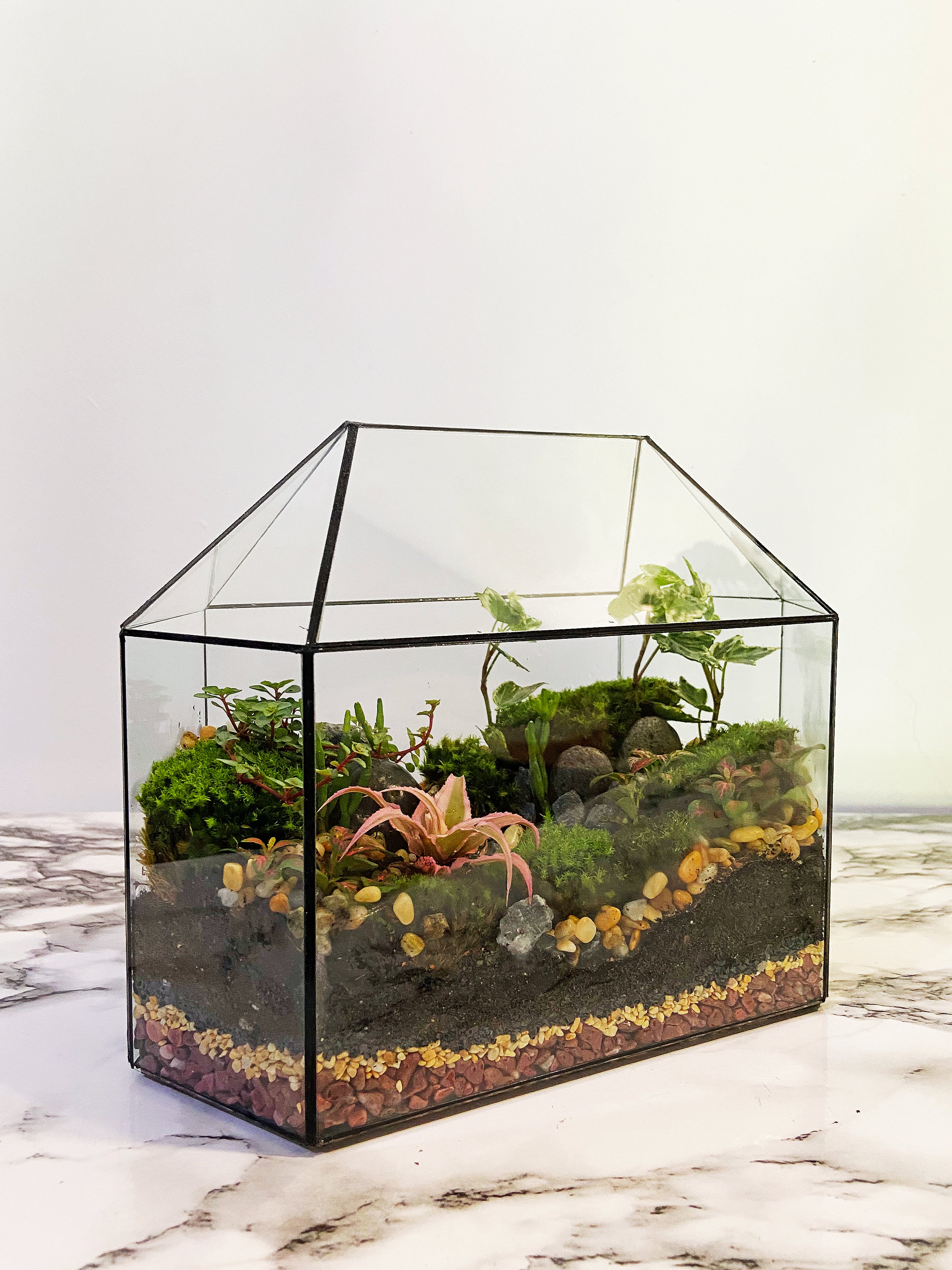 Terrariums – Tiny Forest Store